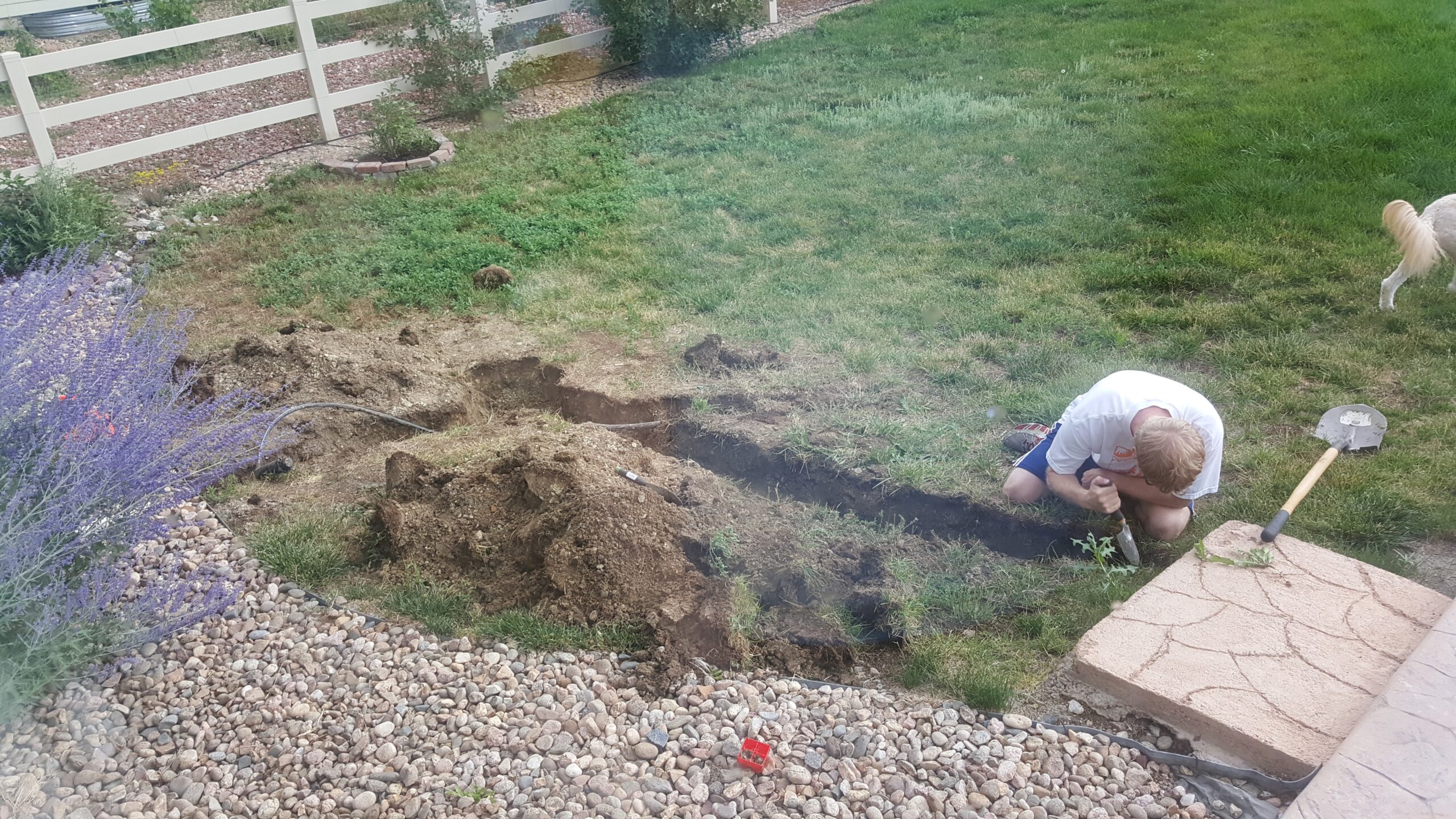 Prepare Your Lawn for Spring - A Helpful 8-Step Guide - Home Arise