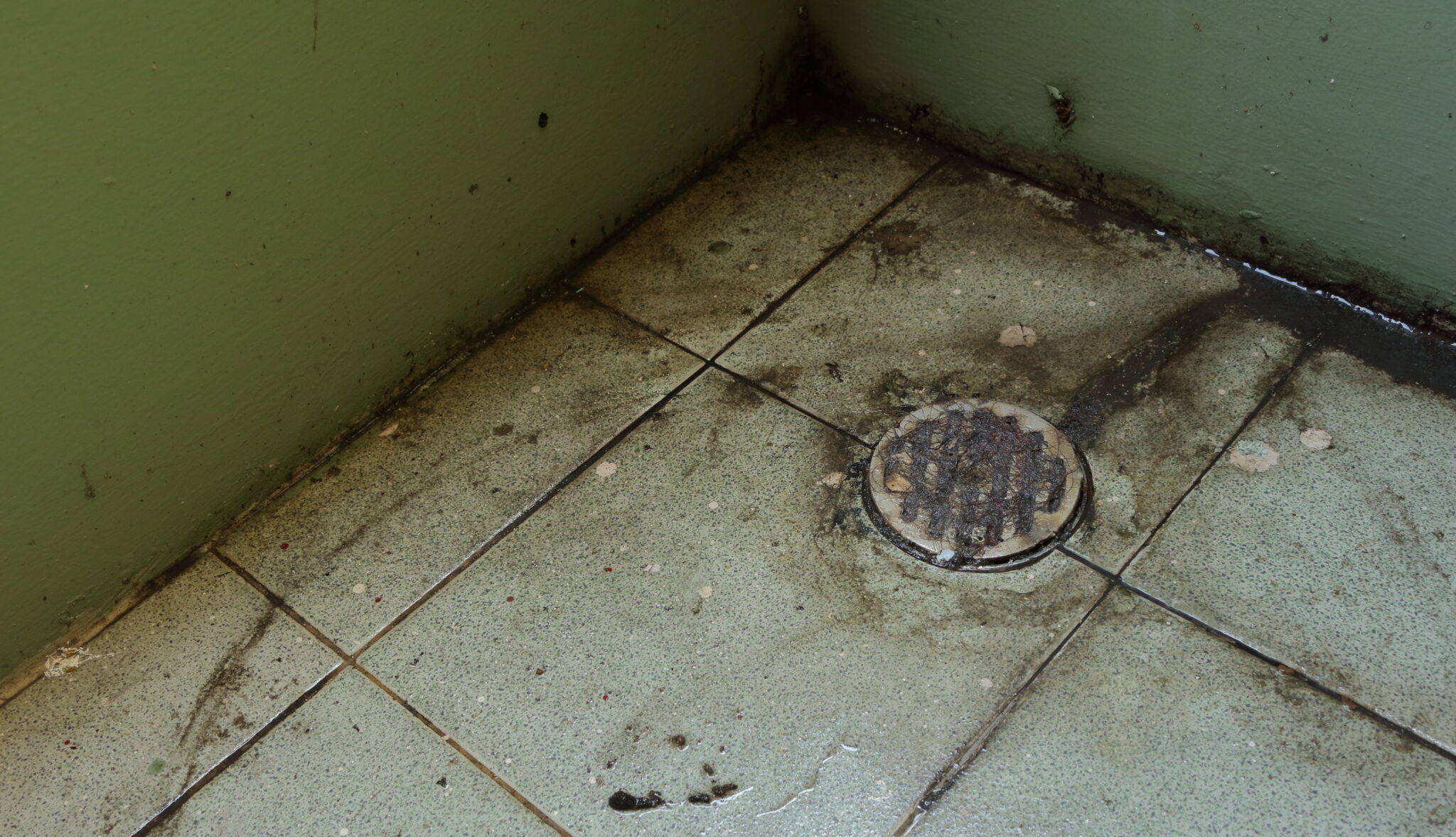 Basement Drain Backing Up After Shower: 7 Common Causes and Effective ...