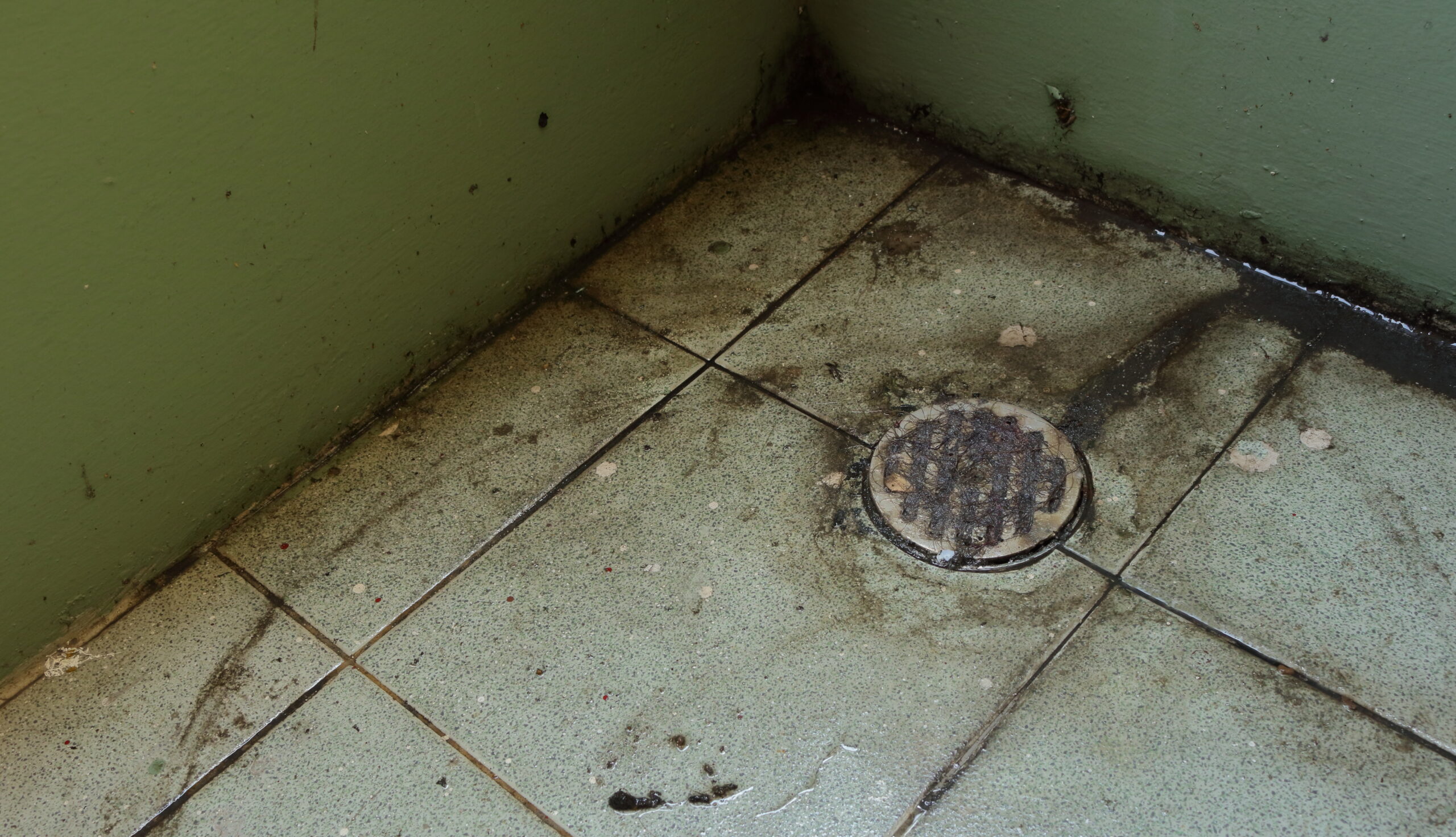 Basement Drain Backing Up After Shower: 7 Common Causes and Effective ...